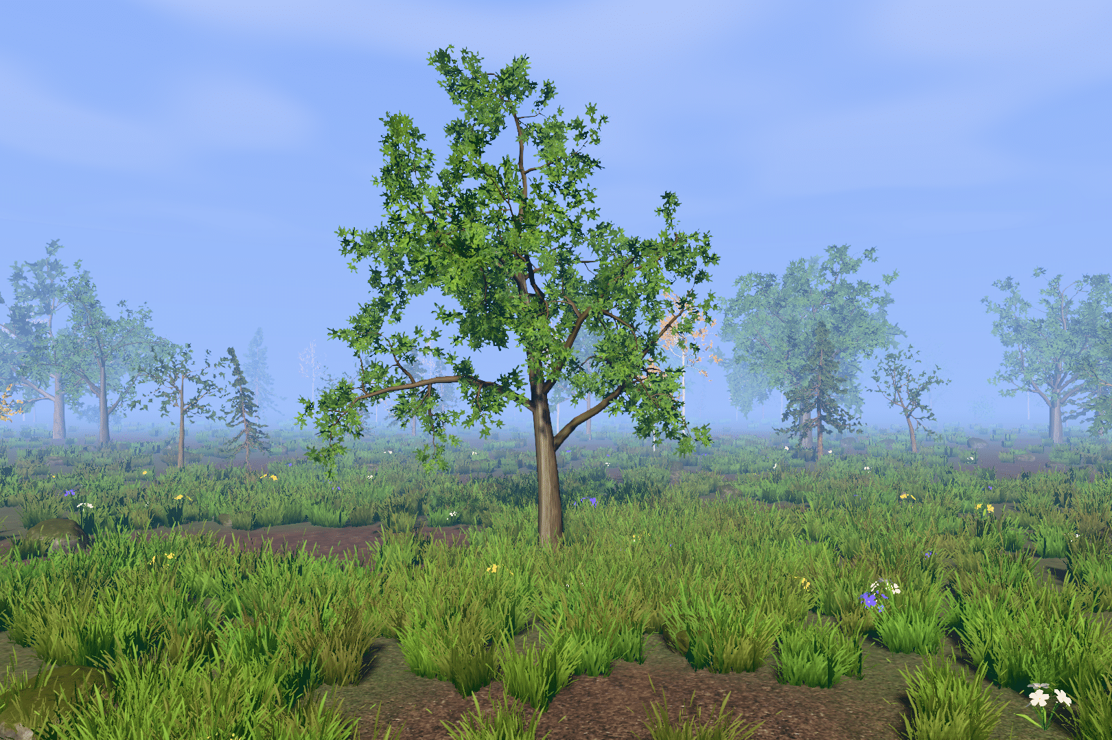 EZ Tree: Your Next Tree’s Just a Click Away - DIGITAL PRODUCTION