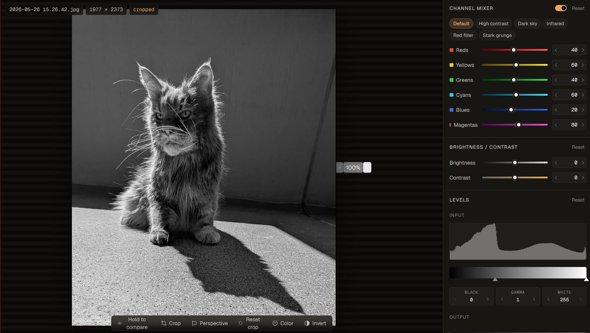 Levels cleans up alpha maps fast - DIGITAL PRODUCTION